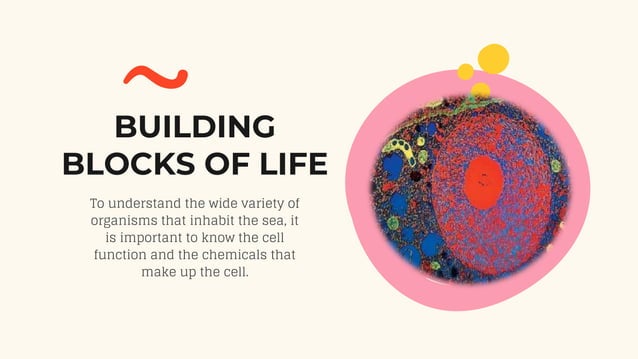 FUNDAMENTALS OF BIOLOGY WEEK 3-4.pptx
