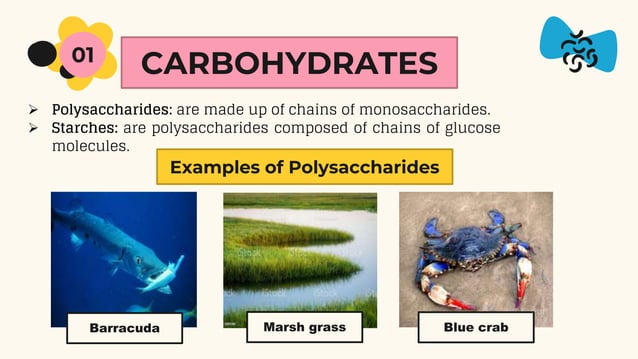 FUNDAMENTALS OF BIOLOGY WEEK 3-4.pptx