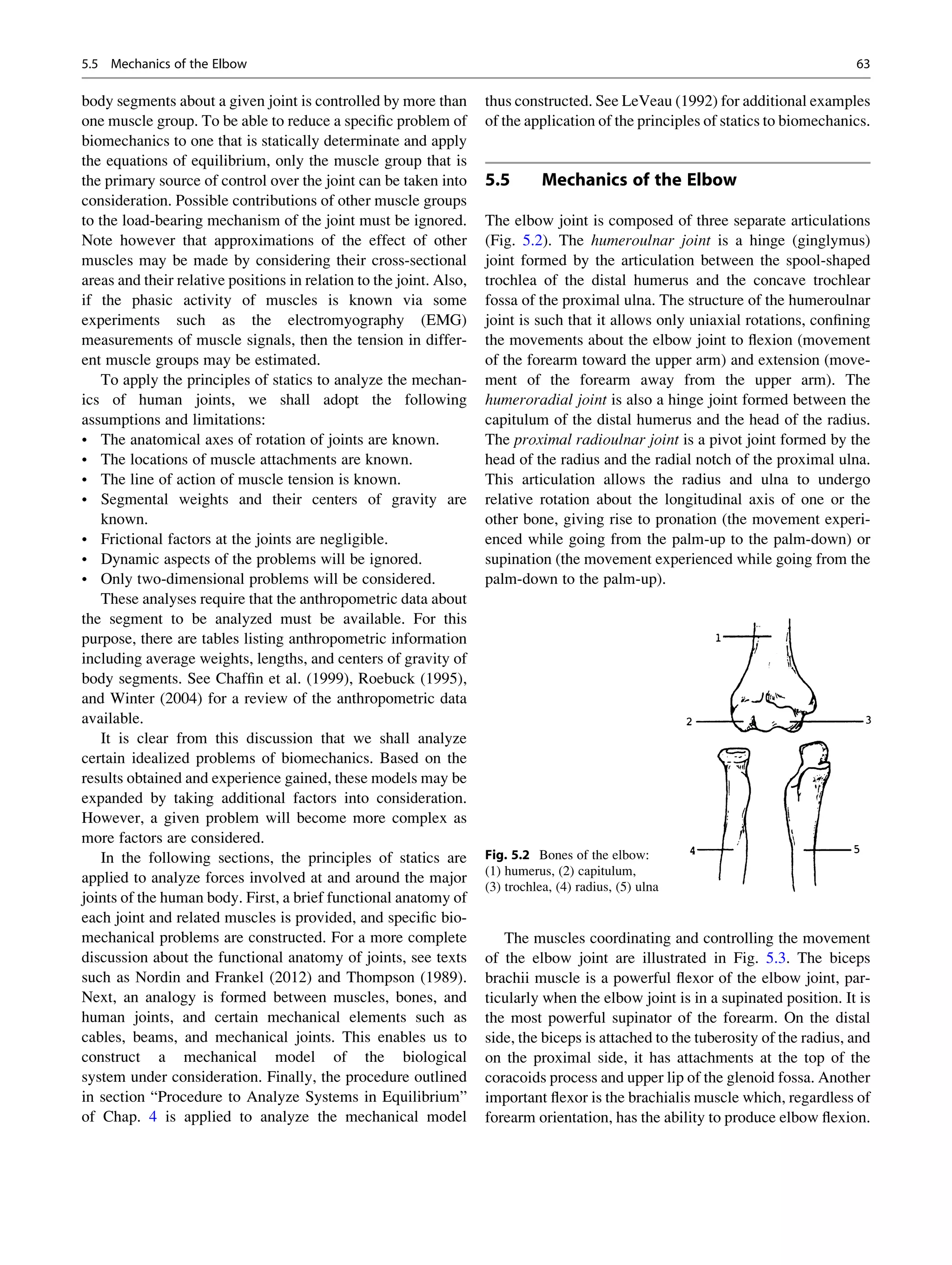 Fundamentals of biomechanics | PDF