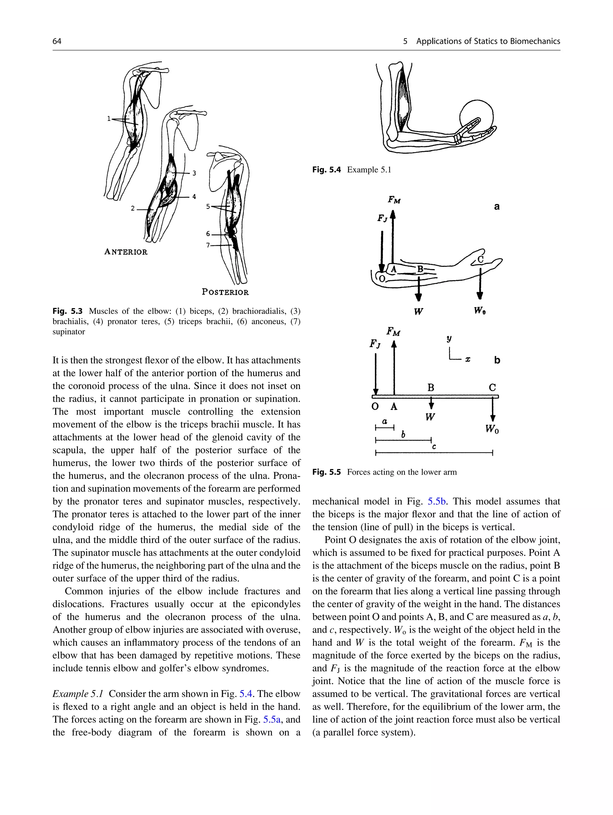 Fundamentals of biomechanics | PDF