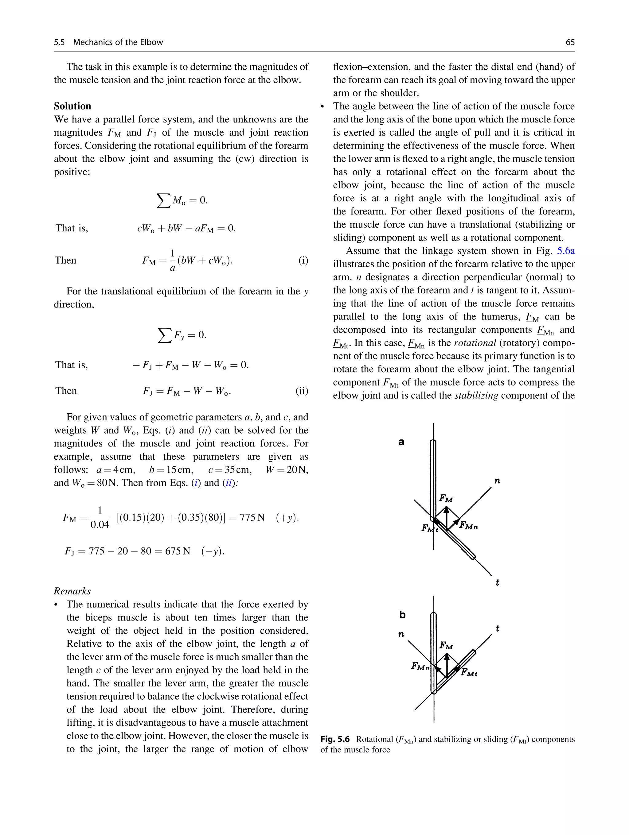Fundamentals of biomechanics | PDF