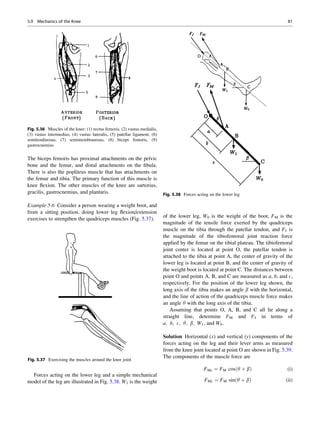 Fundamentals of biomechanics | PDF