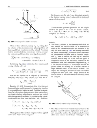 Fundamentals of biomechanics | PDF