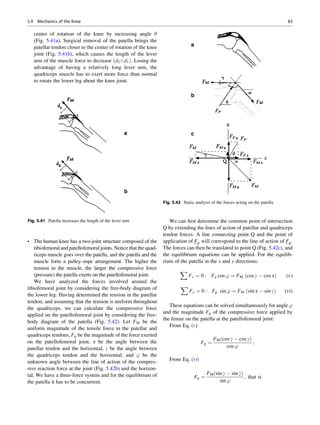Fundamentals of biomechanics | PDF