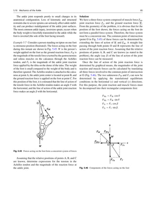 Fundamentals of biomechanics | PDF