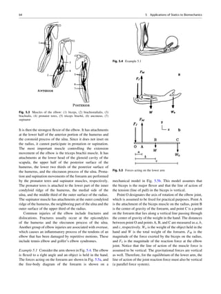Fundamentals of biomechanics | PDF