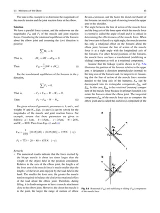 Fundamentals of biomechanics | PDF