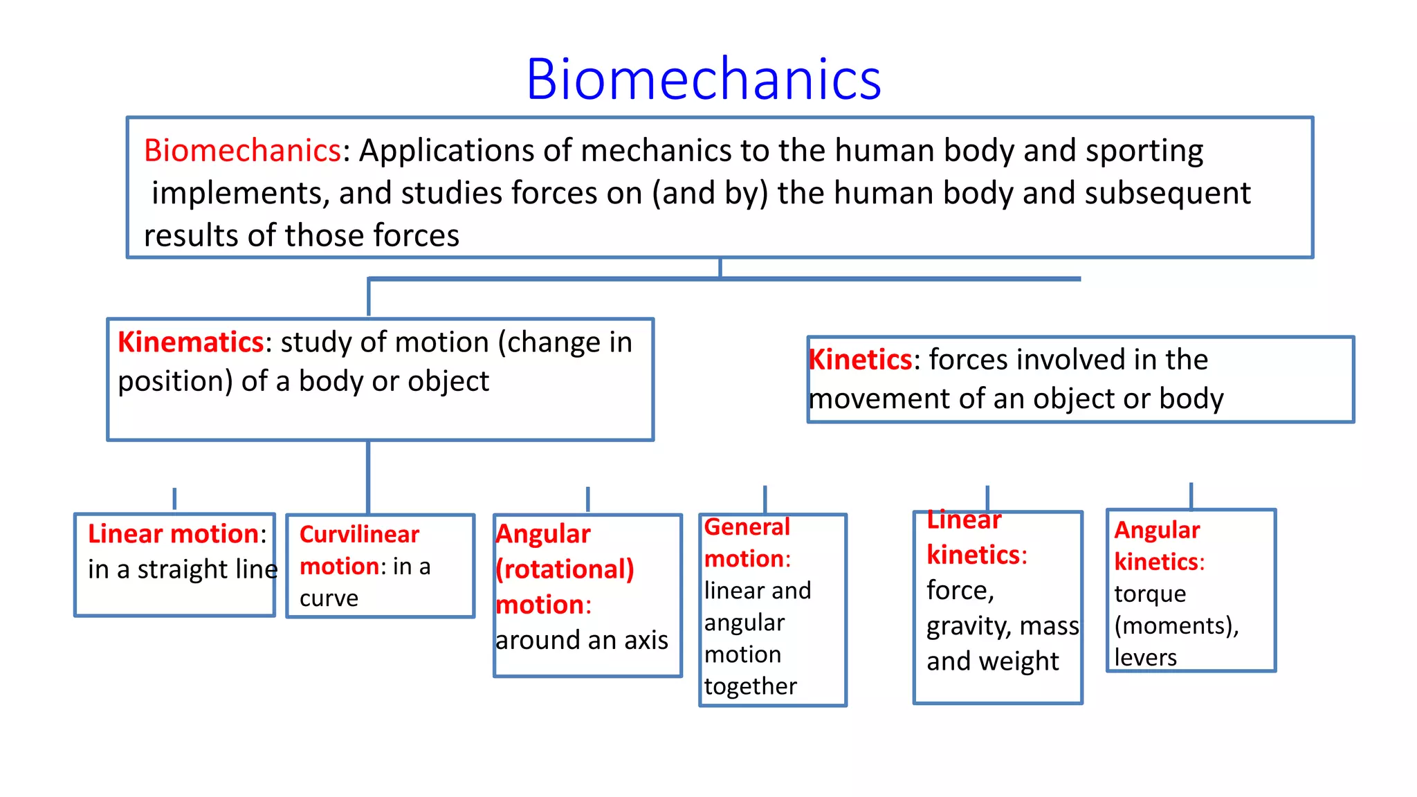 Fundamentals of Biomechanics.pptx
