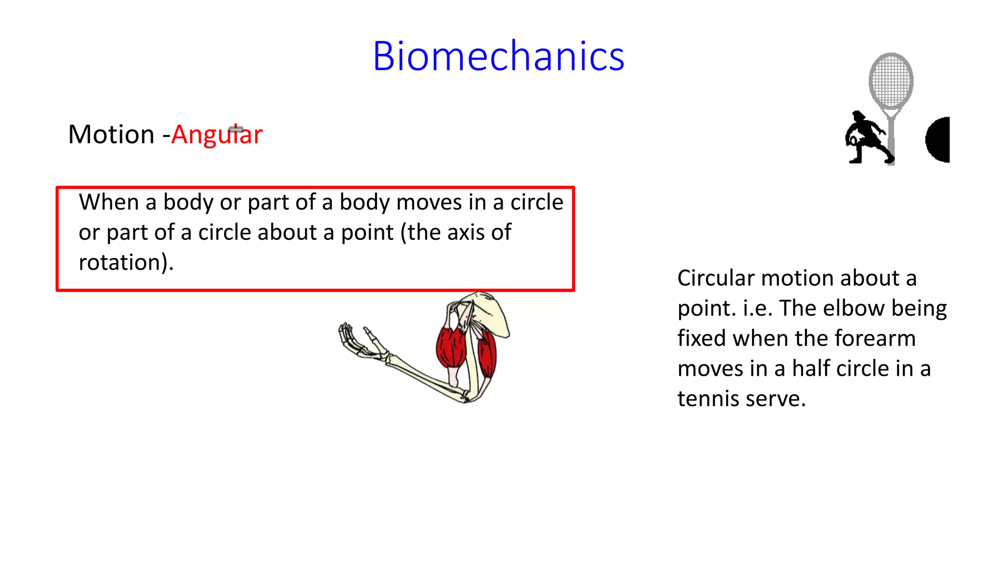 Fundamentals of Biomechanics.pptx