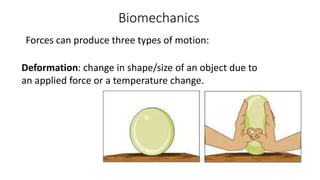 Fundamentals of Biomechanics.pptx