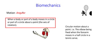 Fundamentals of Biomechanics.pptx