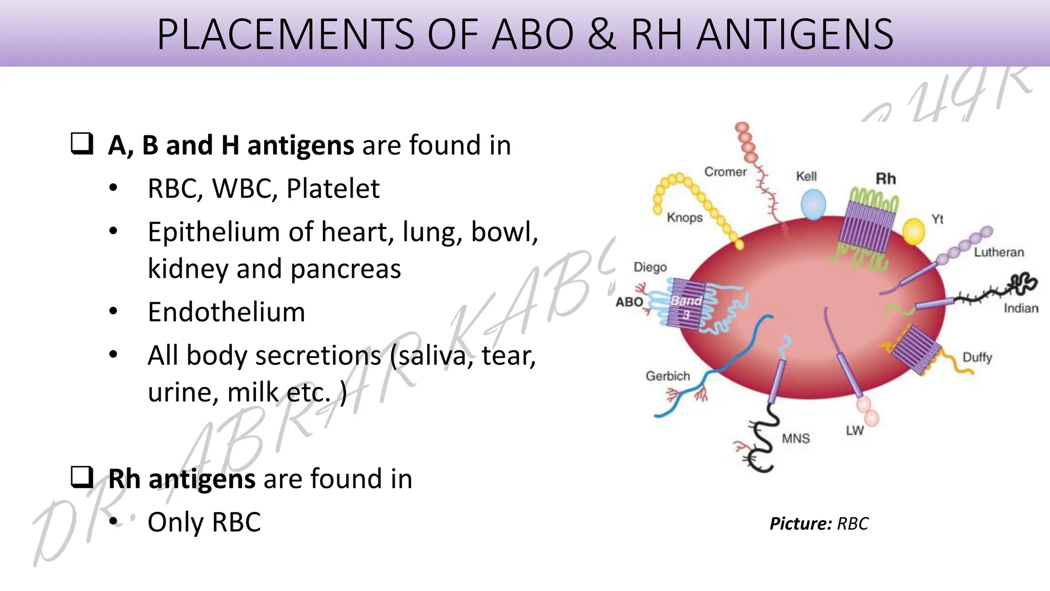 Fundamentals of Blood Grouping and Practical Techniques (ABO, Rh ...