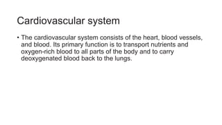 FUNDAMENTALS OF CARDIOVASCULAR SYSTEM, BHM 2ND SEM.pptx