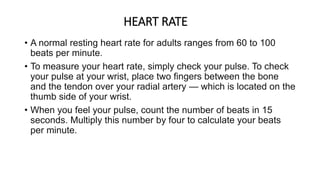 FUNDAMENTALS OF CARDIOVASCULAR SYSTEM, BHM 2ND SEM.pptx