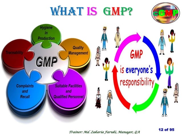 Current Good Manufacturing Practice (cGMP) | PDF