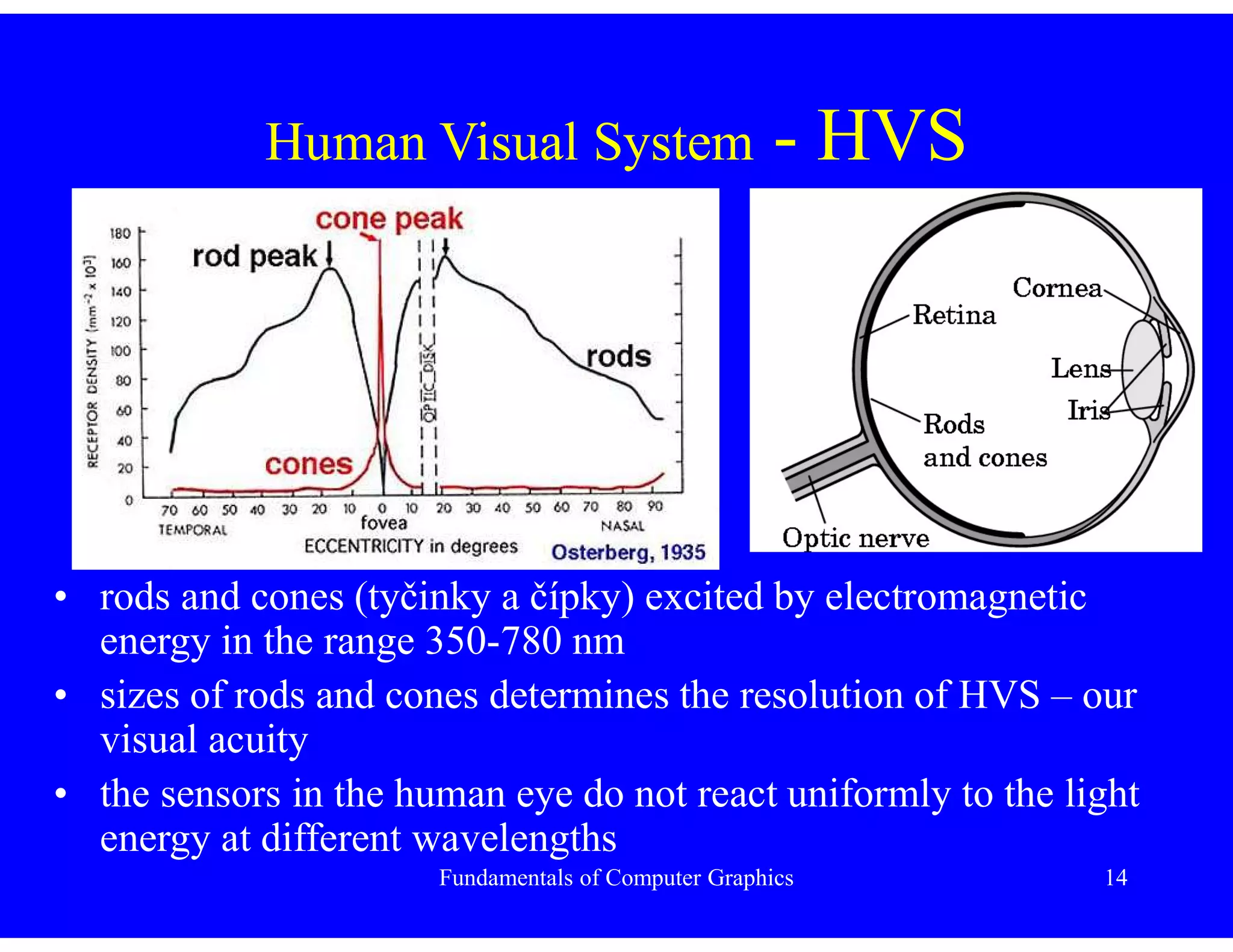 Fundamentals of Computer Graphics.pdf