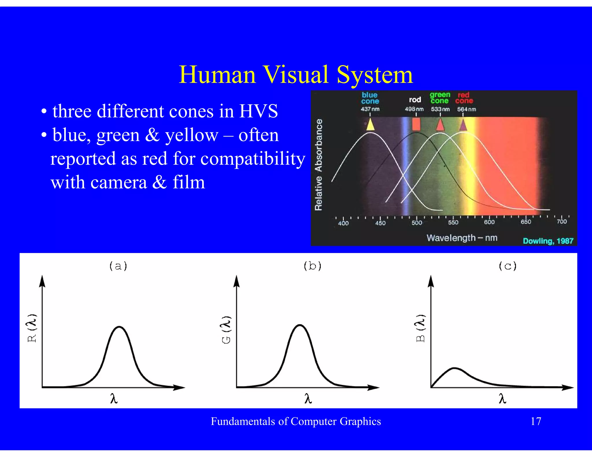 Fundamentals of Computer Graphics.pdf