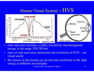 Fundamentals of Computer Graphics.pdf