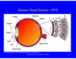 Fundamentals of Computer Graphics.pdf