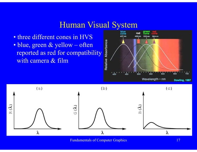 Fundamentals of Computer Graphics.pdf