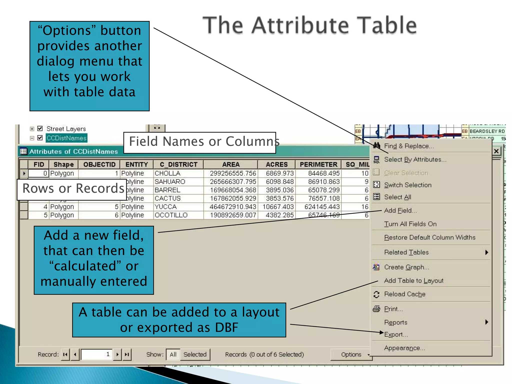 Fundamentalsof Crime Mapping Arc Gis Tables | PPTX