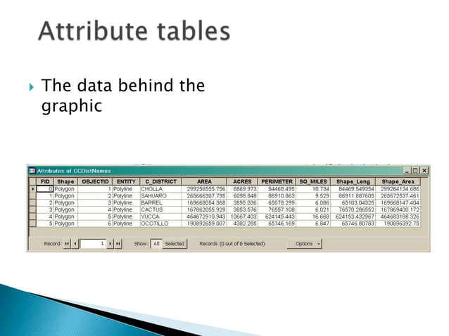 Fundamentalsof Crime Mapping Arc Gis Tables | PPTX