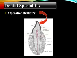 fundamentals of dental technology.pptx