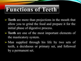 fundamentals of dental technology.pptx