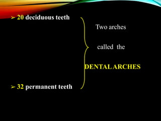 fundamentals of dental technology.pptx
