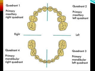 fundamentals of dental technology.pptx