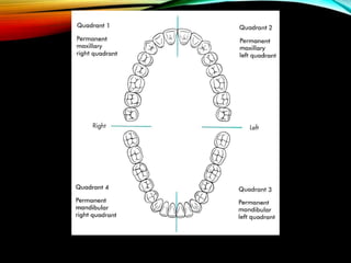 fundamentals of dental technology.pptx