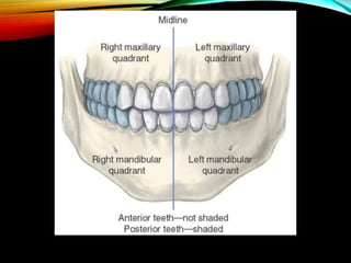 fundamentals of dental technology.pptx