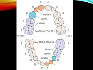 fundamentals of dental technology.pptx