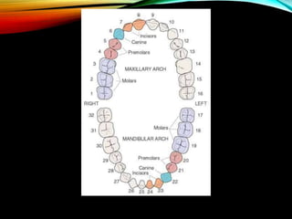fundamentals of dental technology.pptx