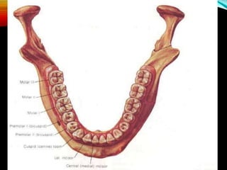 fundamentals of dental technology.pptx