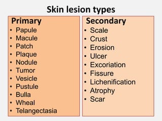 fundamentals of dermatology HO final.pptx