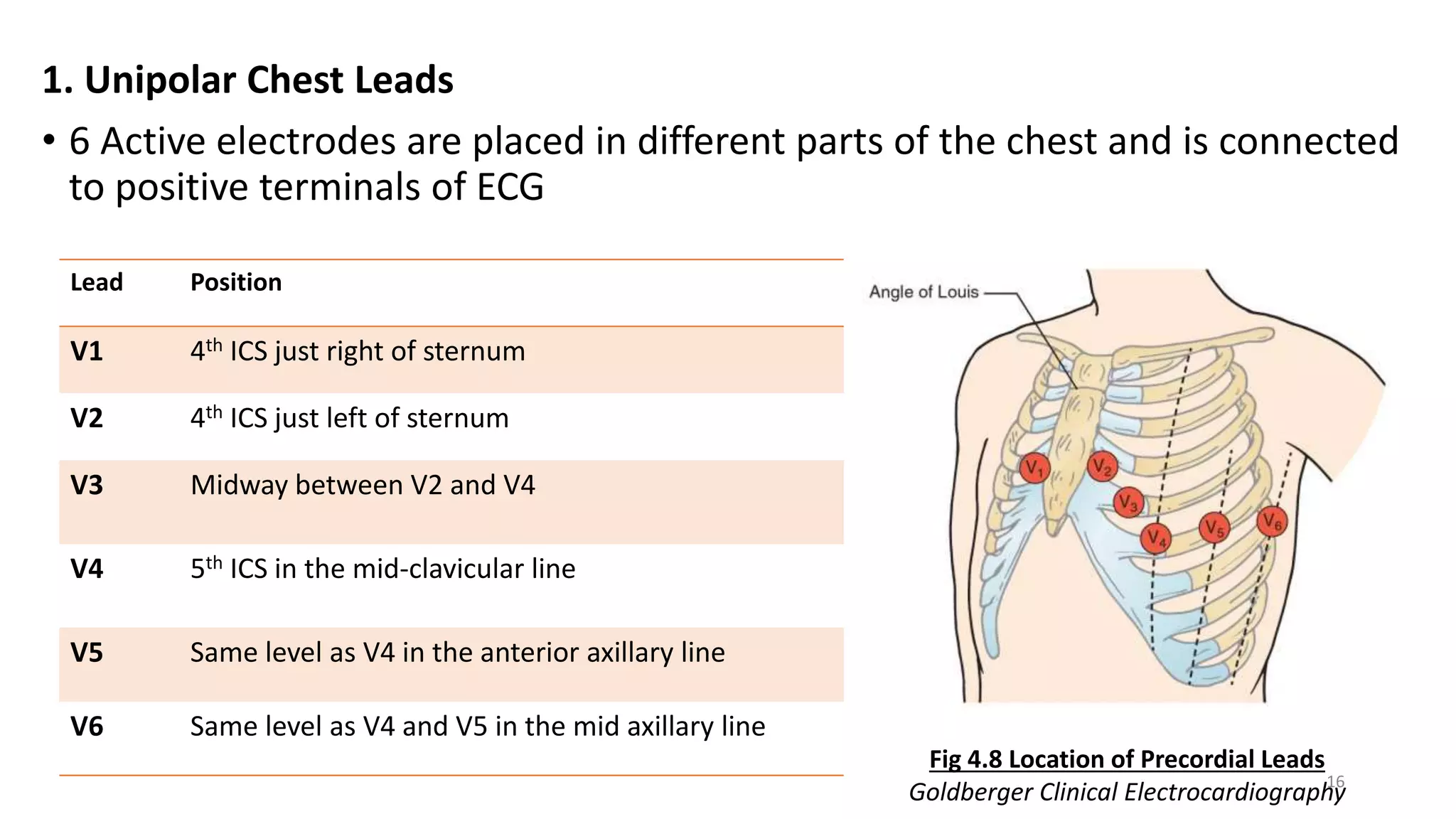 Fundamentals of Electrocardiography | PPTX