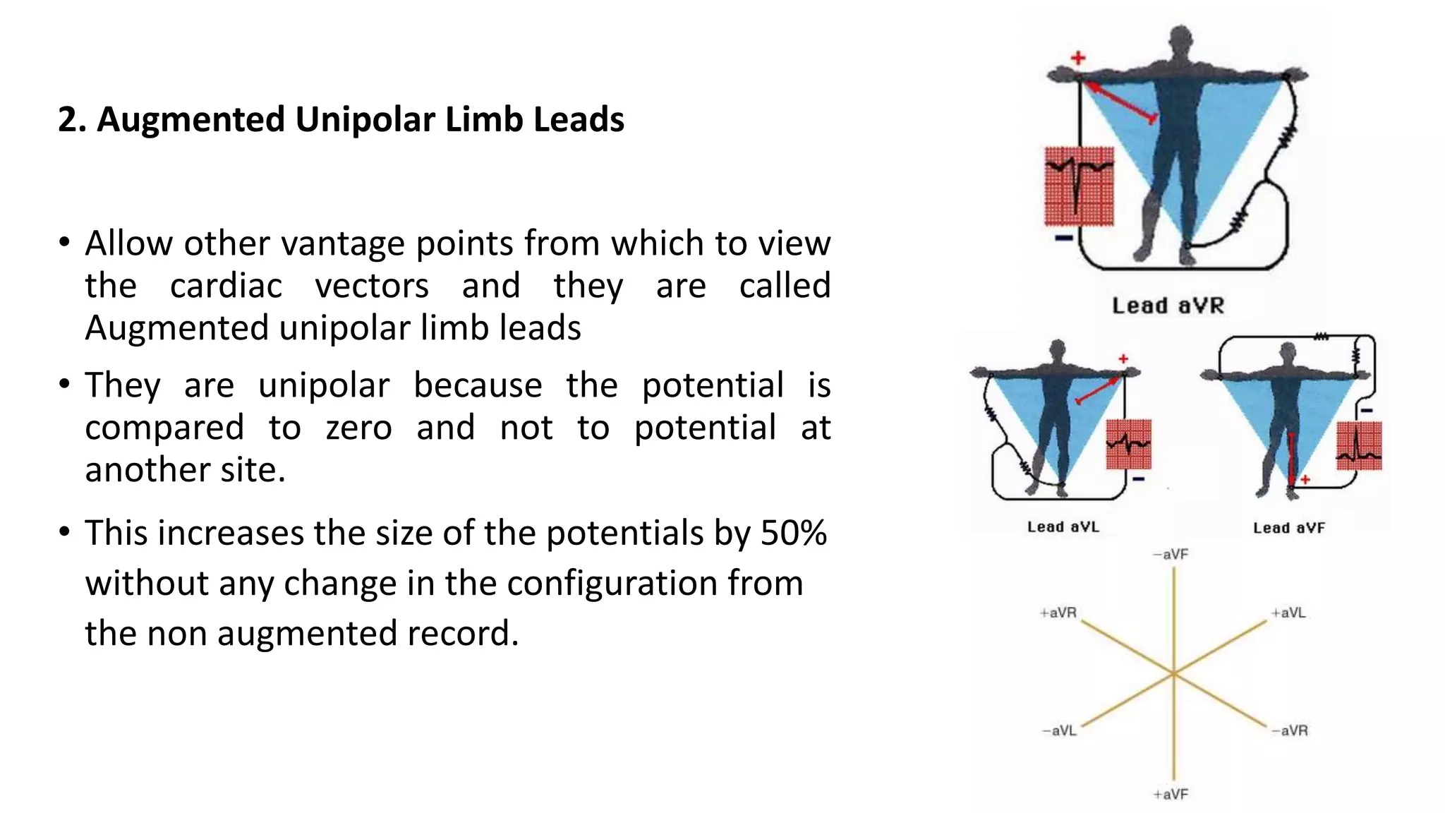 Fundamentals of Electrocardiography | PPTX