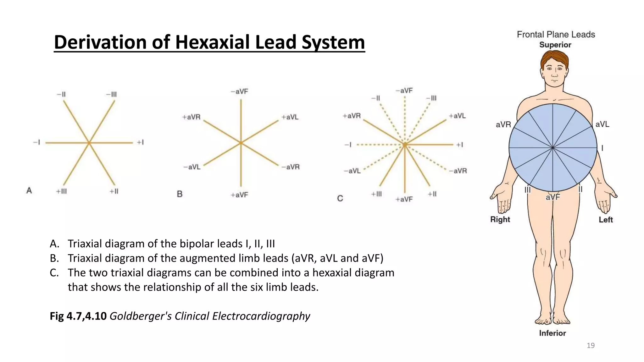 Fundamentals of Electrocardiography | PPTX