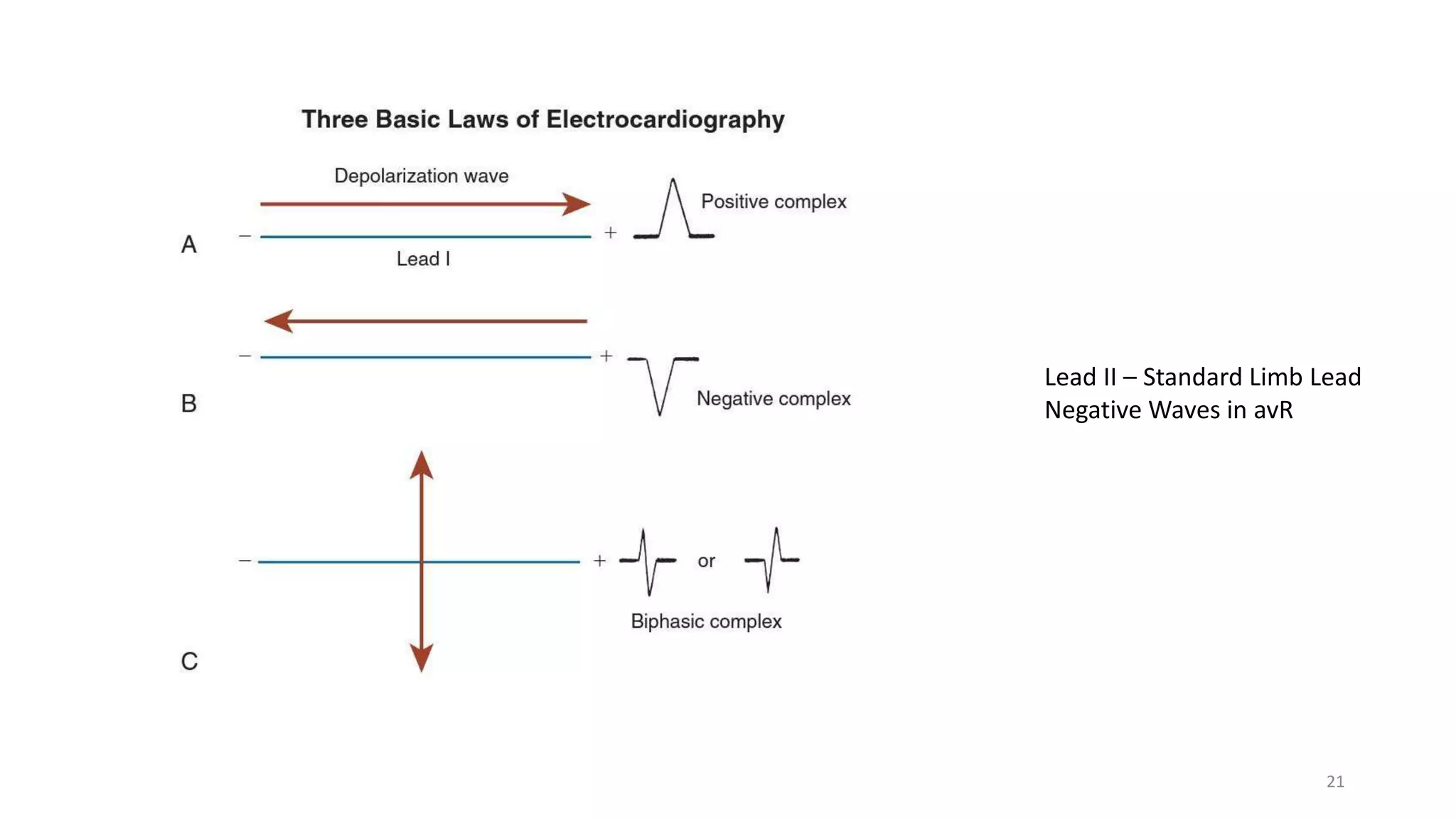 Fundamentals of Electrocardiography | PPTX