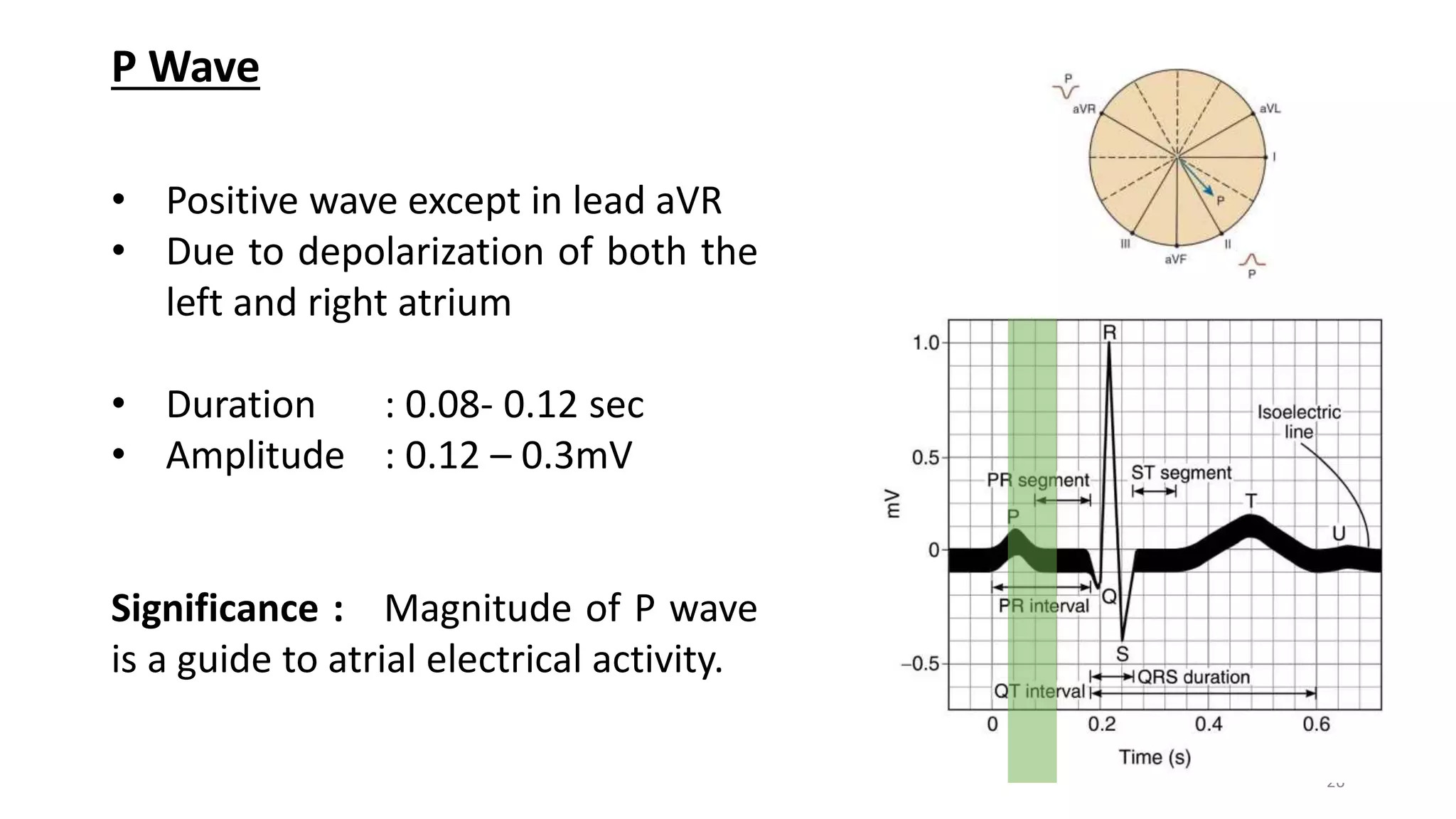 Fundamentals of Electrocardiography | PPTX