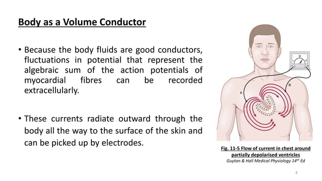 Fundamentals of Electrocardiography | PPTX | Heart and Cardiovascular Diseases | Diseases and ...
