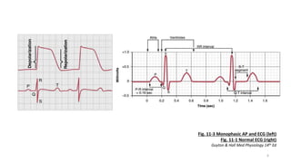 Fundamentals of Electrocardiography | PPTX