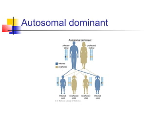 Fundamentals of genetics | PPT