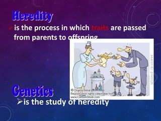 Fundamentals of genetics | PPT
