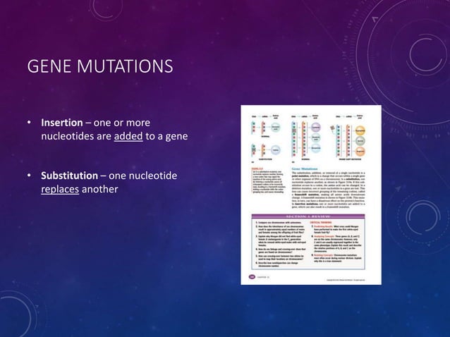 Fundamentals of genetics | PPT | Genetics | Science