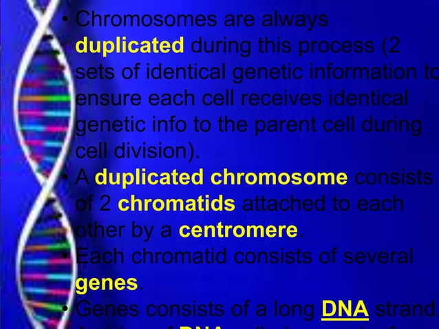 Fundamentals of genetics | PPT | Genetics | Science