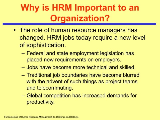 Fundamentals of HRM Ch2.ppt