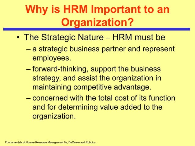 Fundamentals of HRM Ch2.ppt
