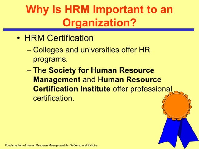 Fundamentals of HRM Ch2.ppt
